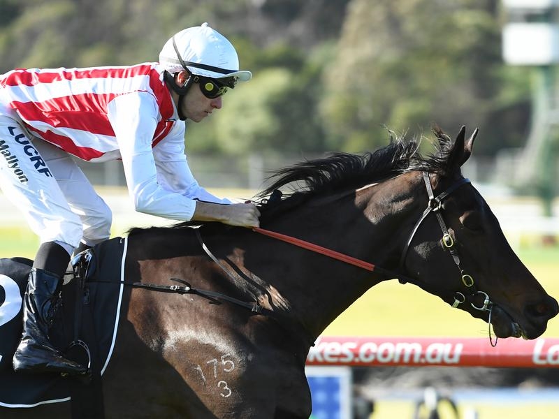 Grahame Begg tests Our Libretto in Zipping Classic | Just Horse Racing