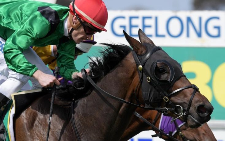 Joe Waldron to saddle first Melbourne runners | Just Horse Racing