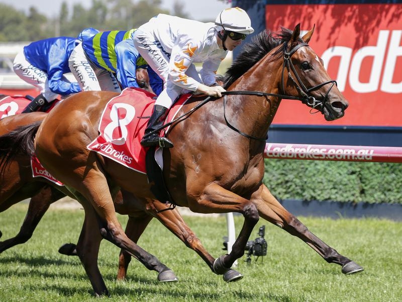 Loving Gaby stamps her Blue Diamond Stakes claims | Just Horse Racing
