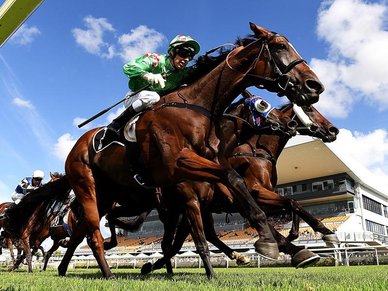 First Crush to be set for Toowoomba Cup | Just Horse Racing