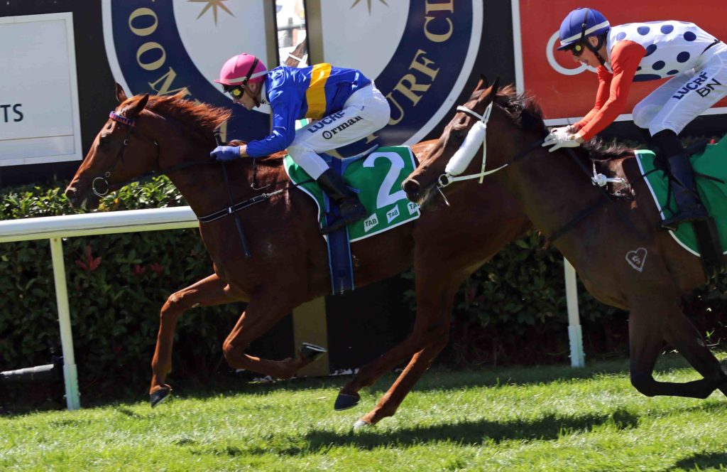 Rex Lipp continues top form at Toowoomba | Just Horse Racing