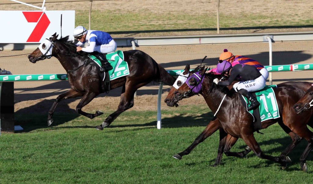 20/6/2026 Horse Racing Tips and Best Bets – Ipswich, Ipswich Cup day ...
