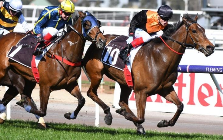 Rox The Castle takes step to stakes company | Just Horse Racing