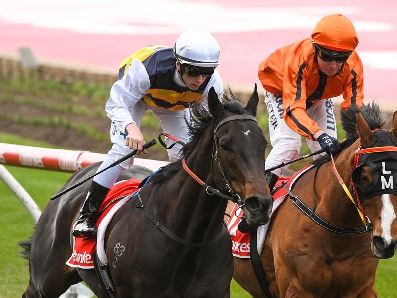 Grahame Begg rewards Lachlan King for his success | Just Horse Racing