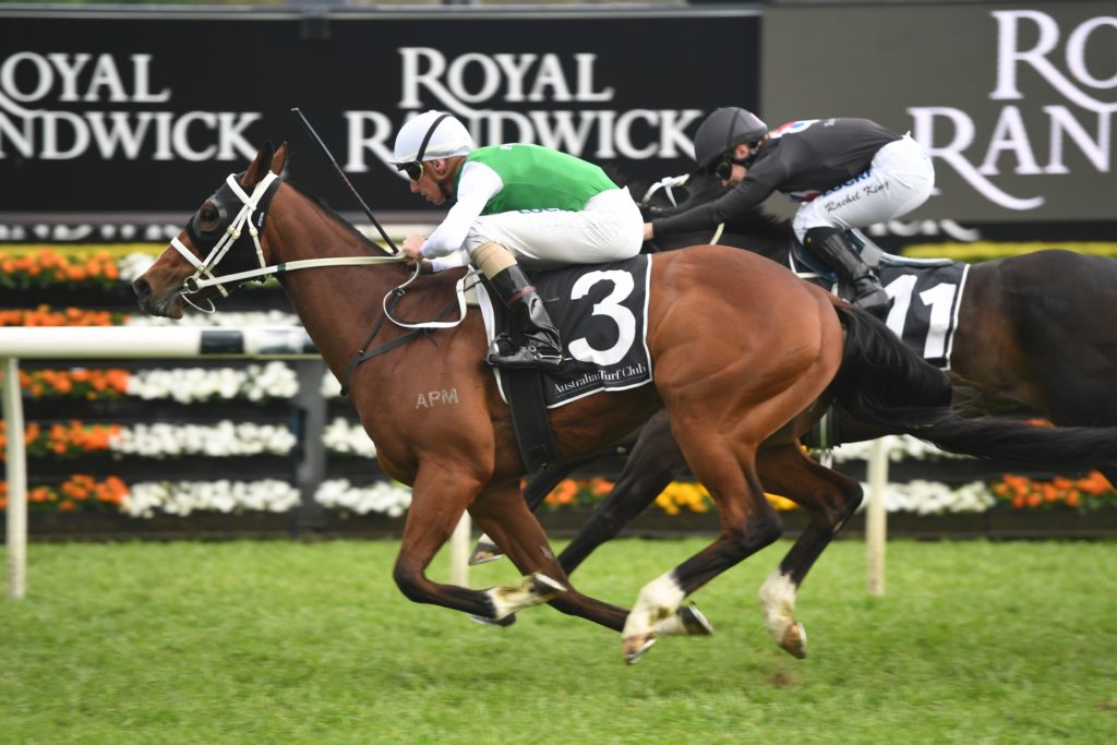 Theo Marks Stakes Field – 2023 | Just Horse Racing