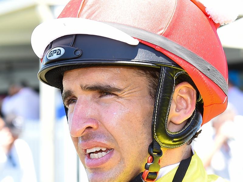 Michael Rodd in hit-and-run Cox Plate day mission | Just Horse Racing