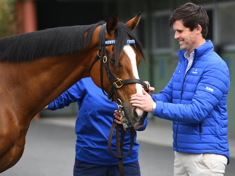 Hartnell set for last start in Mackinnon Stakes | Just Horse Racing