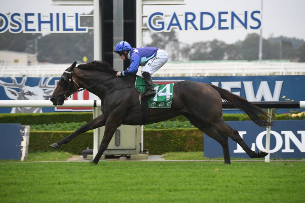 Narooma Cup Field – 2022 | Just Horse Racing
