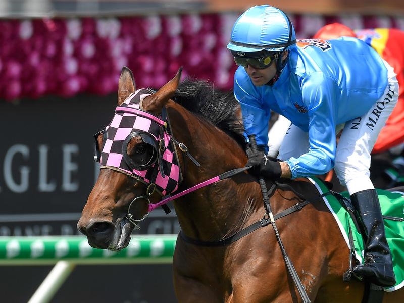 Ziemba to continue family tradition | Just Horse Racing