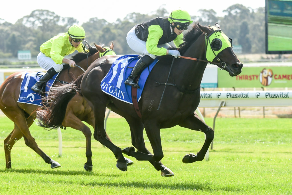 McCarthy to oversee Fox’s Annual assault | Just Horse Racing