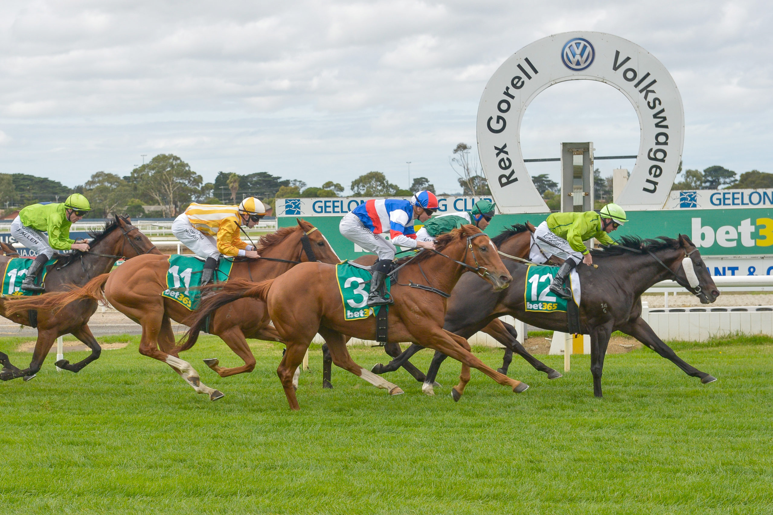 1/5/2026 Horse Racing Tips and Best Bets – Geelong | Just Horse Racing