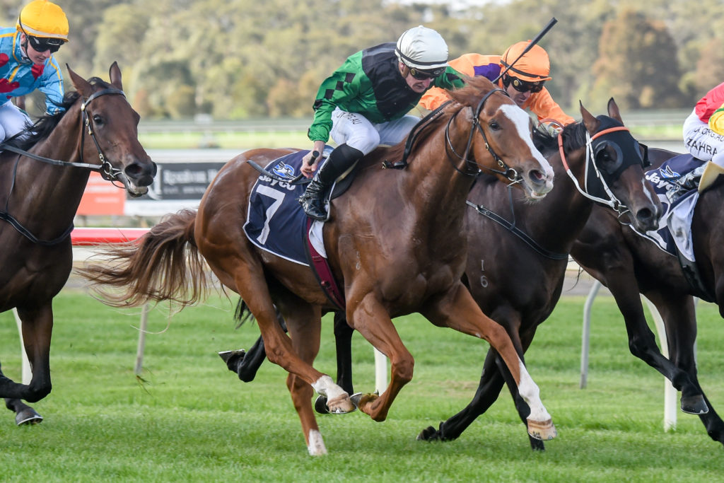 Riddle Me That set to atone at Caulfield