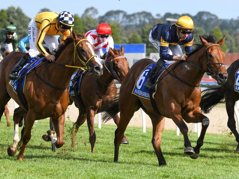 Hawker Hurricane fitter for Darby Munro Stakes | Just Horse Racing