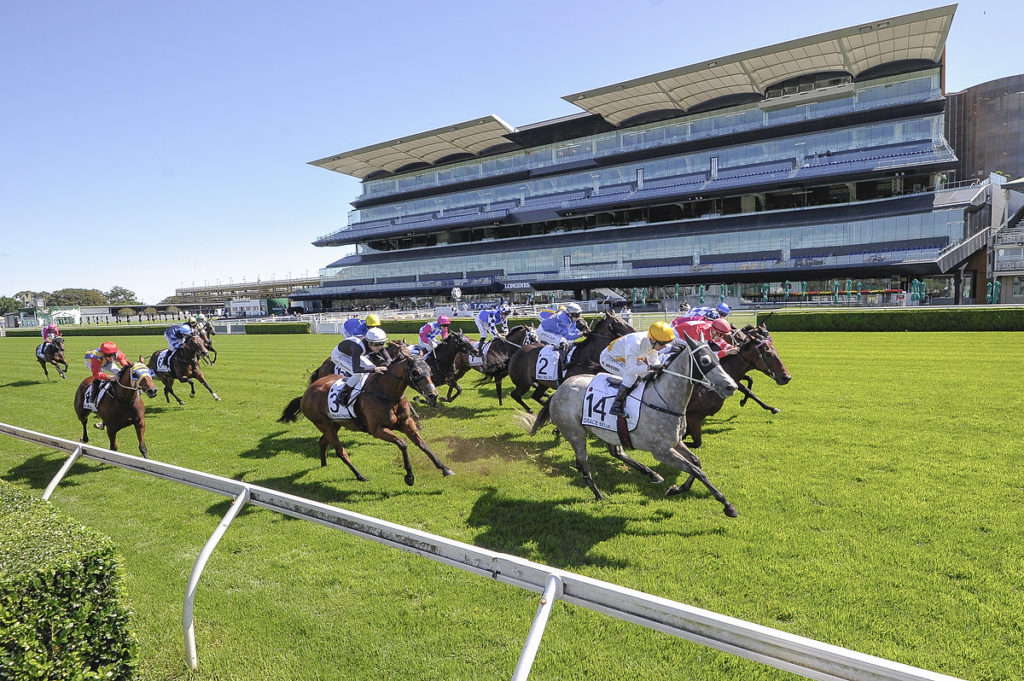 NSW Country Championships set to kick-off at Coffs Harbour | Just Horse ...