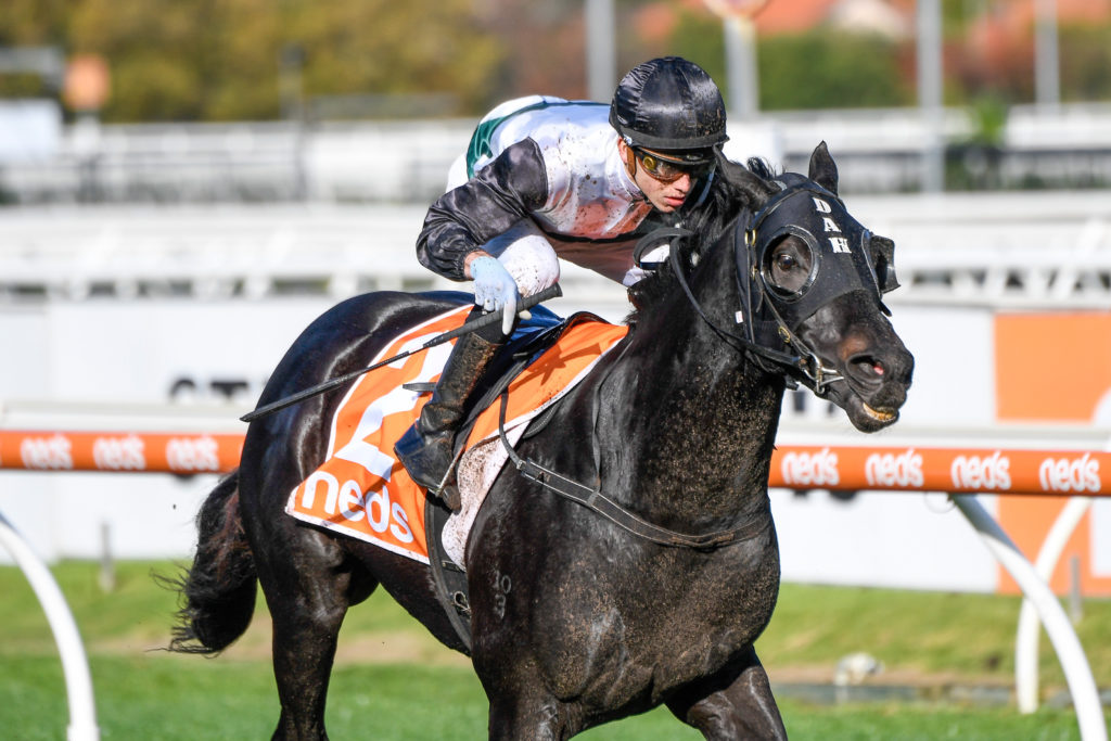 Lankan Rupee and So Si Bon inducted to Living Legends | Just Horse Racing