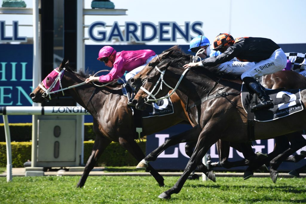 Dancing Gidget stamps claims for the $7.5m Golden Eagle | Just Horse Racing