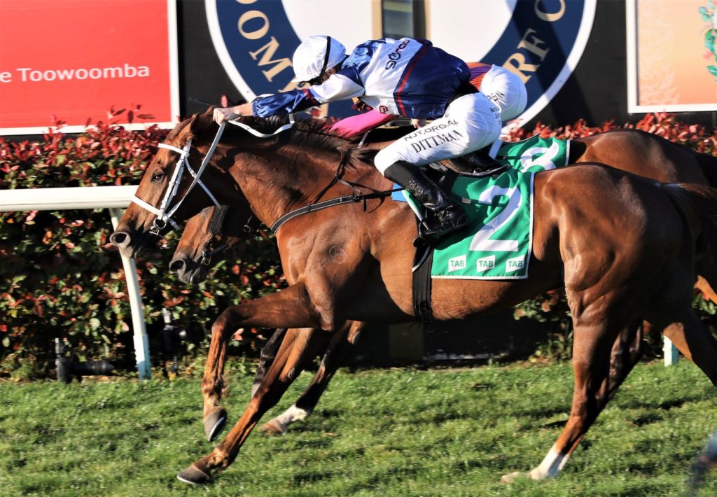 Toowoomba Cup 2021 Field, Tips, Betting Odds, Results