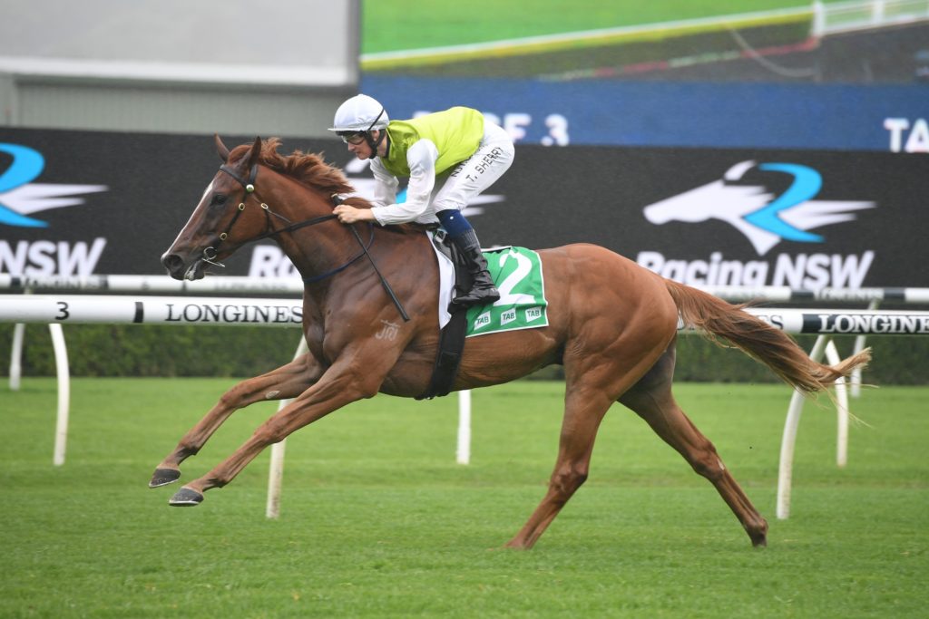 A look at the Country Championships series | Just Horse Racing