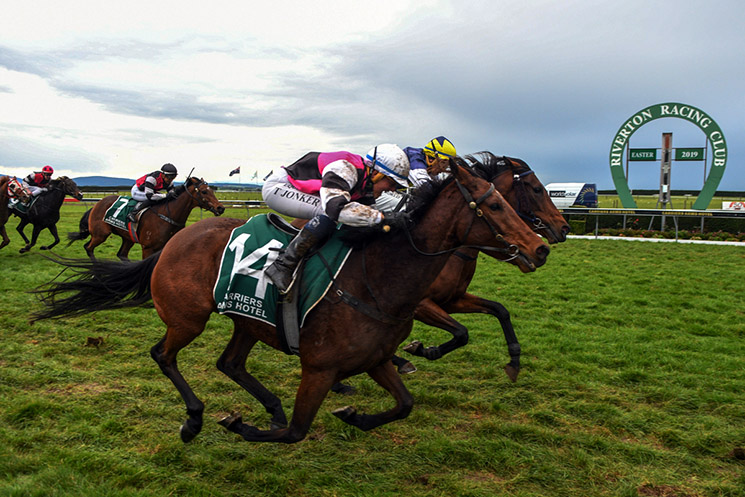 8/5/2026 Horse Racing Tips and Best Bets – Riverton | Just Horse Racing
