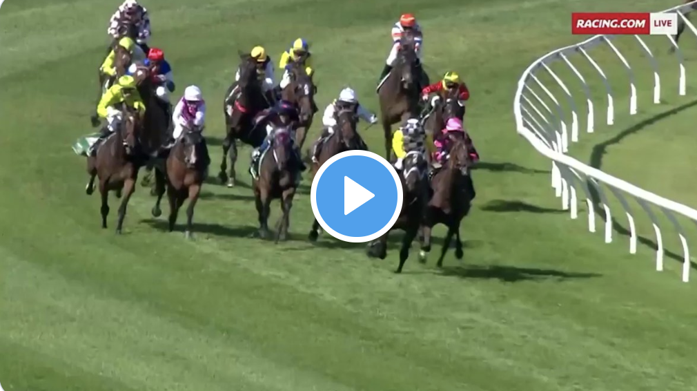 Adelaide Cup results and replay – 2021 | Just Horse Racing