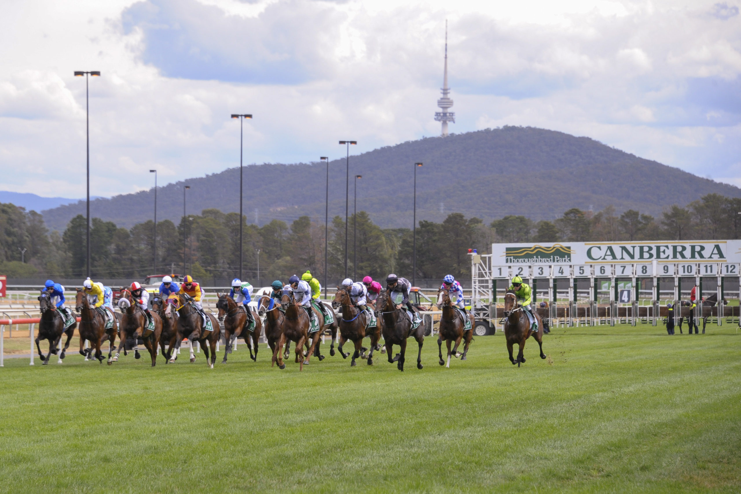 8/5/2026 Horse Racing Tips and Best Bets – Canberra | Just Horse Racing