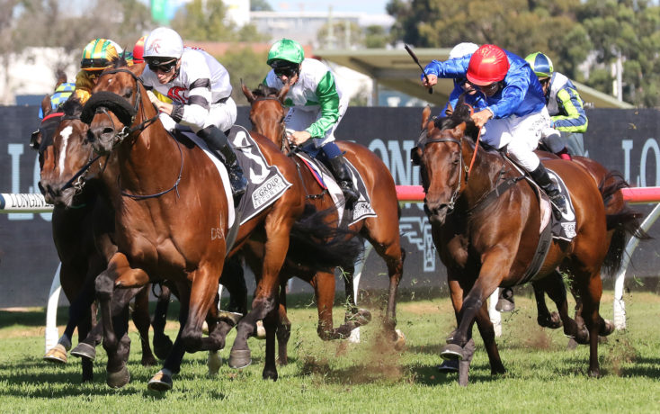 Takeover Target Stakes Field – 2021 | Just Horse Racing