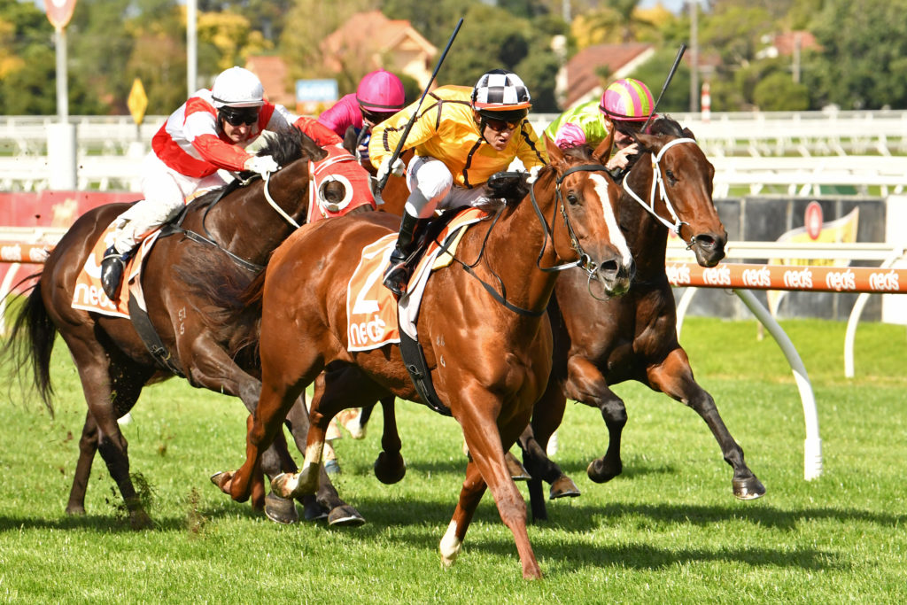 Ryan Balfour hoping for home ground advantage in TAB Classic | Just ...