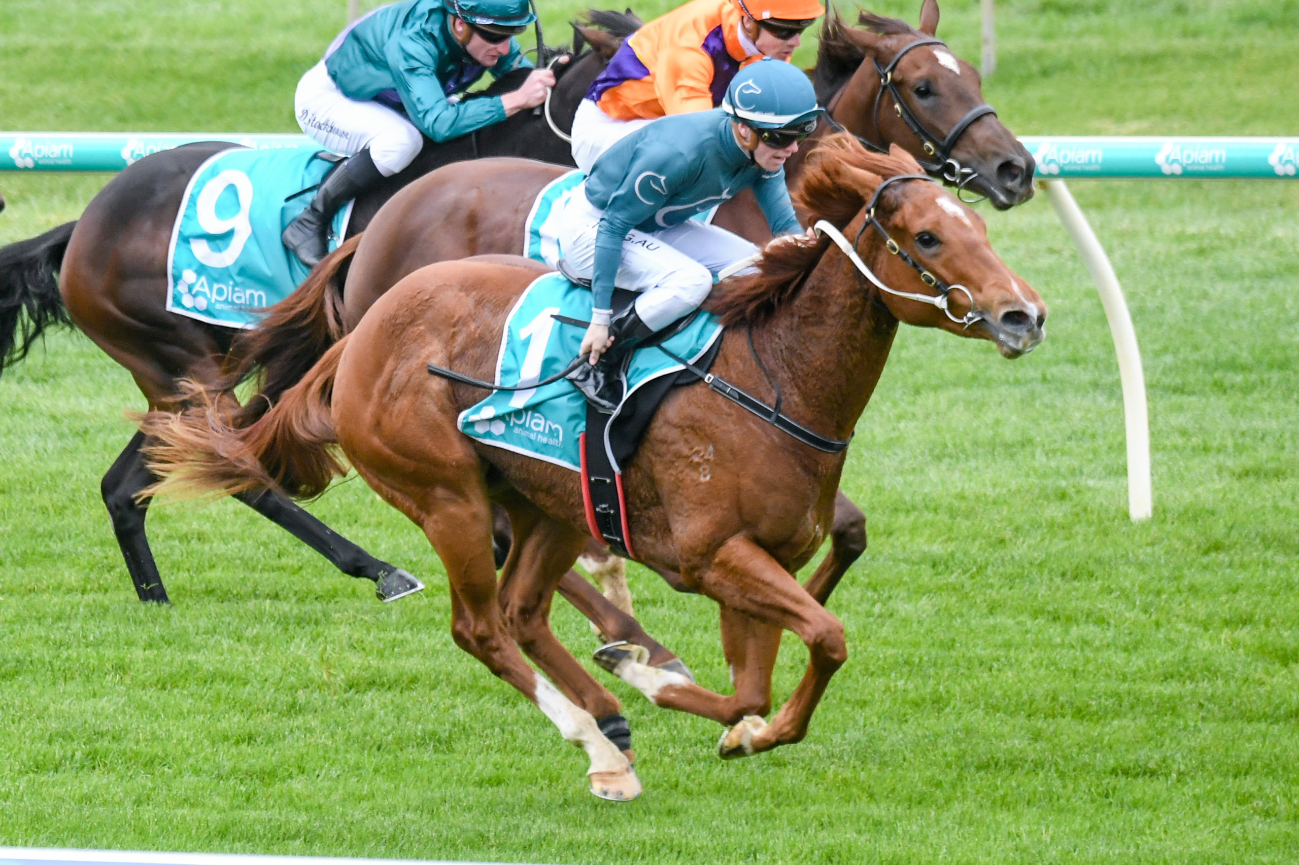 All About Eve chasing rich collect in Elvstroem Classic | Just Horse Racing