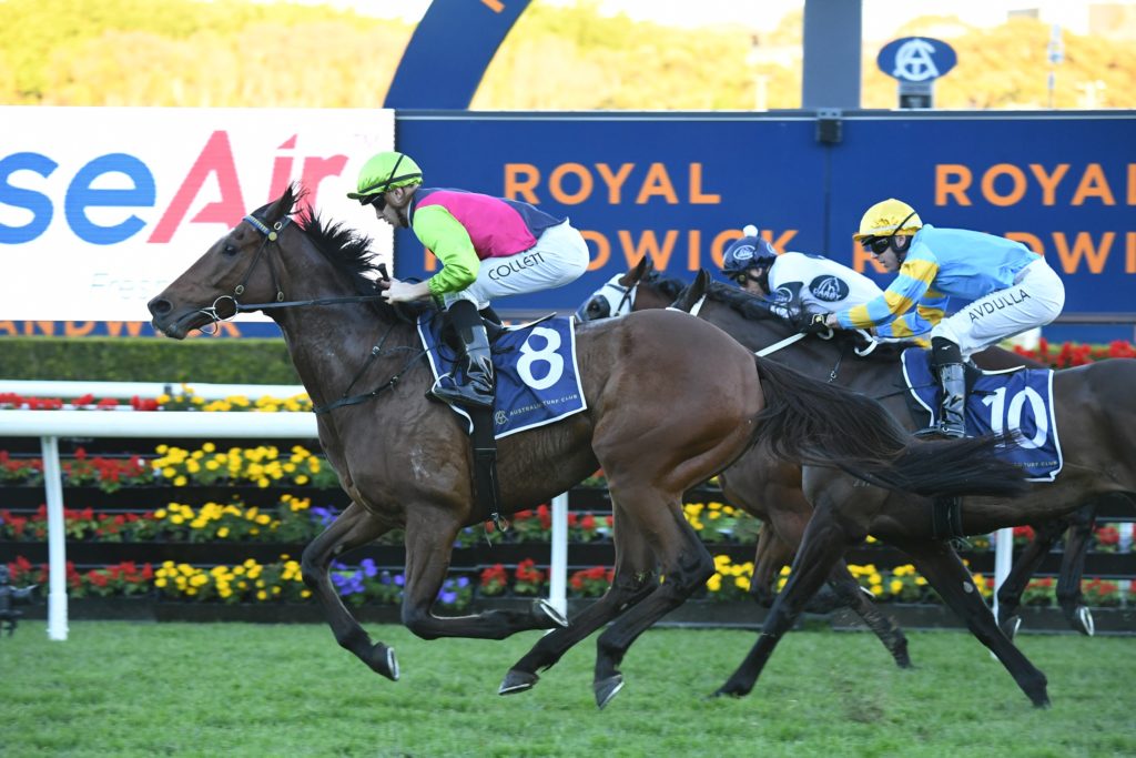 Cisco Bay gearing up for latest Winter Challenge | Just Horse Racing