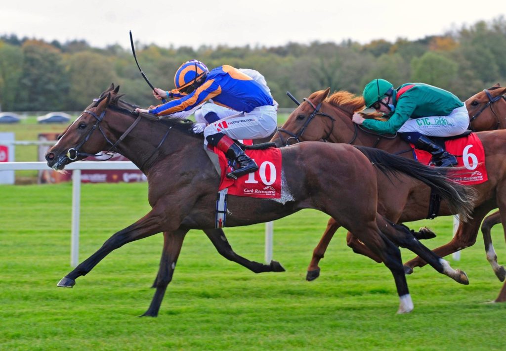 Travel plans up in the air for Melbourne Cup hopeful | Just Horse Racing