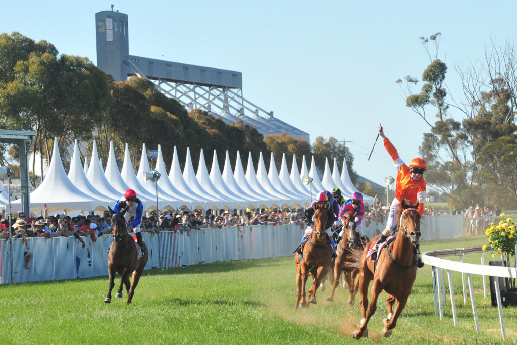 1/11/2025 Horse Racing Tips and Best Bets – Wycheproof, Wycheproof Cup ...