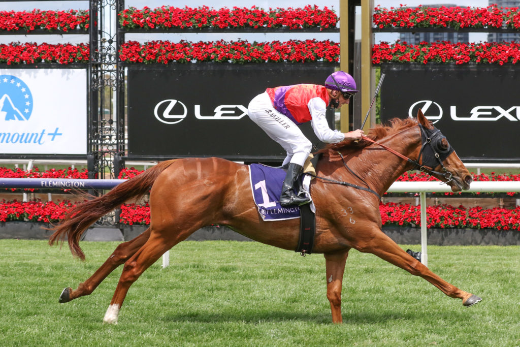 Lexus Archer Stakes Field – 2022 | Just Horse Racing