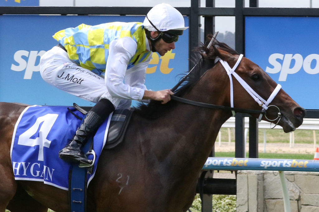 Phillip Stokes pair to face off at Caulfield | Just Horse Racing