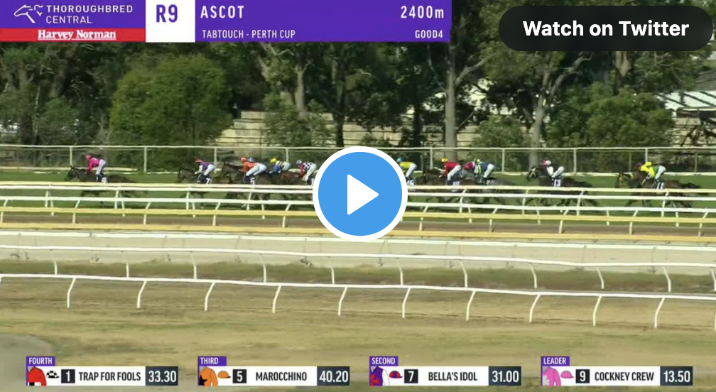 Perth Cup results and replay – 2022 | Just Horse Racing