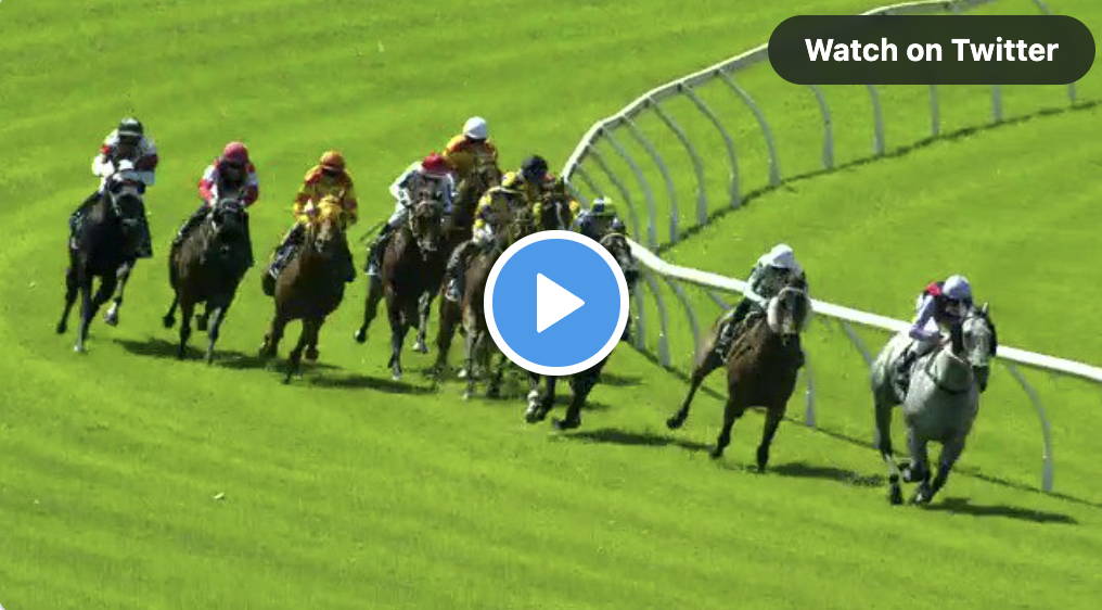 Summer Scorcher results and replay – 2022 | Just Horse Racing