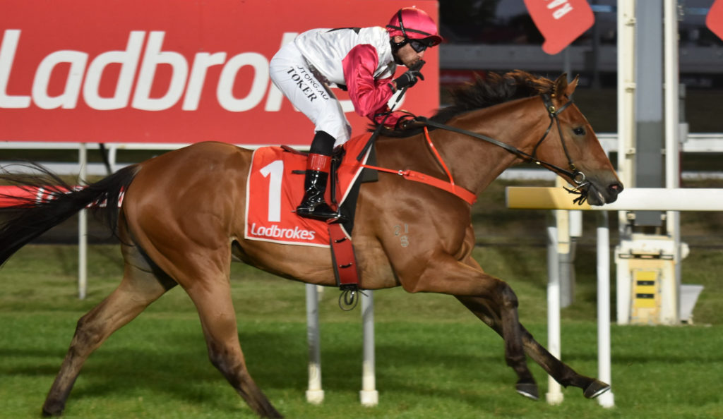 Turk Warrior too classy in Magic Millions Tasmanian feature | Just ...