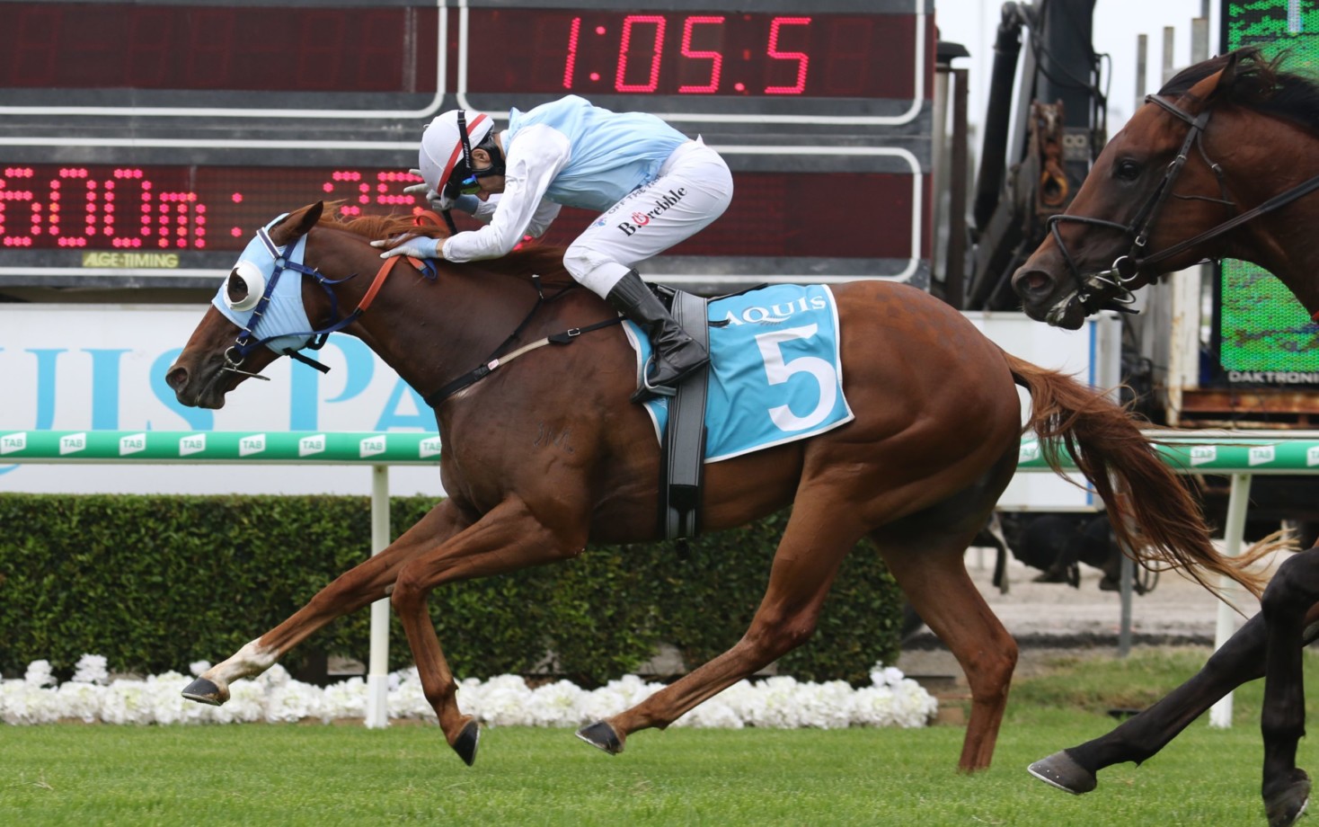 The Mishani brand with a prominent presence in the Magic Millions ...