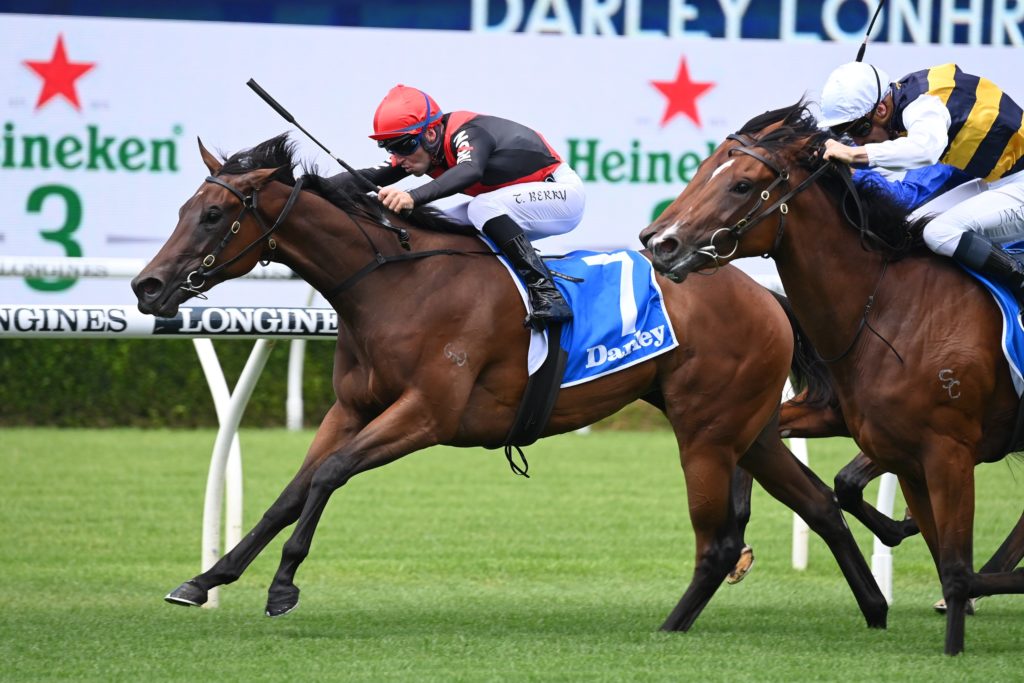 Lonhro Plate 2023 Field, Tips, Betting Odds, Results