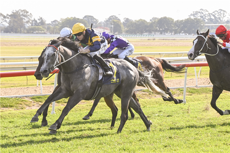 Heavy track a query for Sydney Cup-bound Luncies | Just Horse Racing