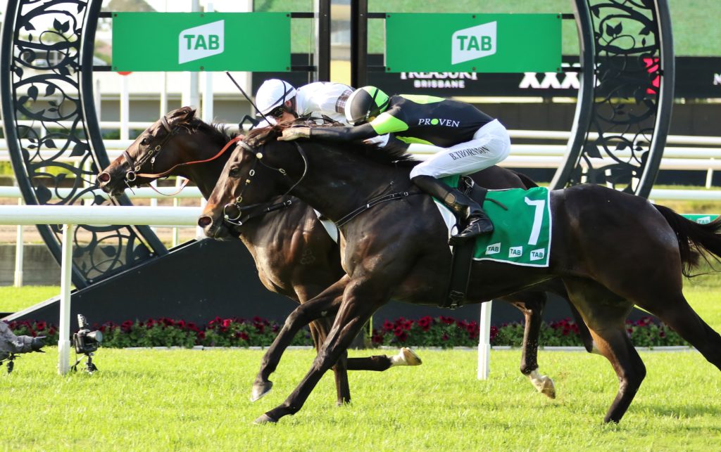Count De Rupee races into G1 contention at Eagle Farm | Just Horse Racing