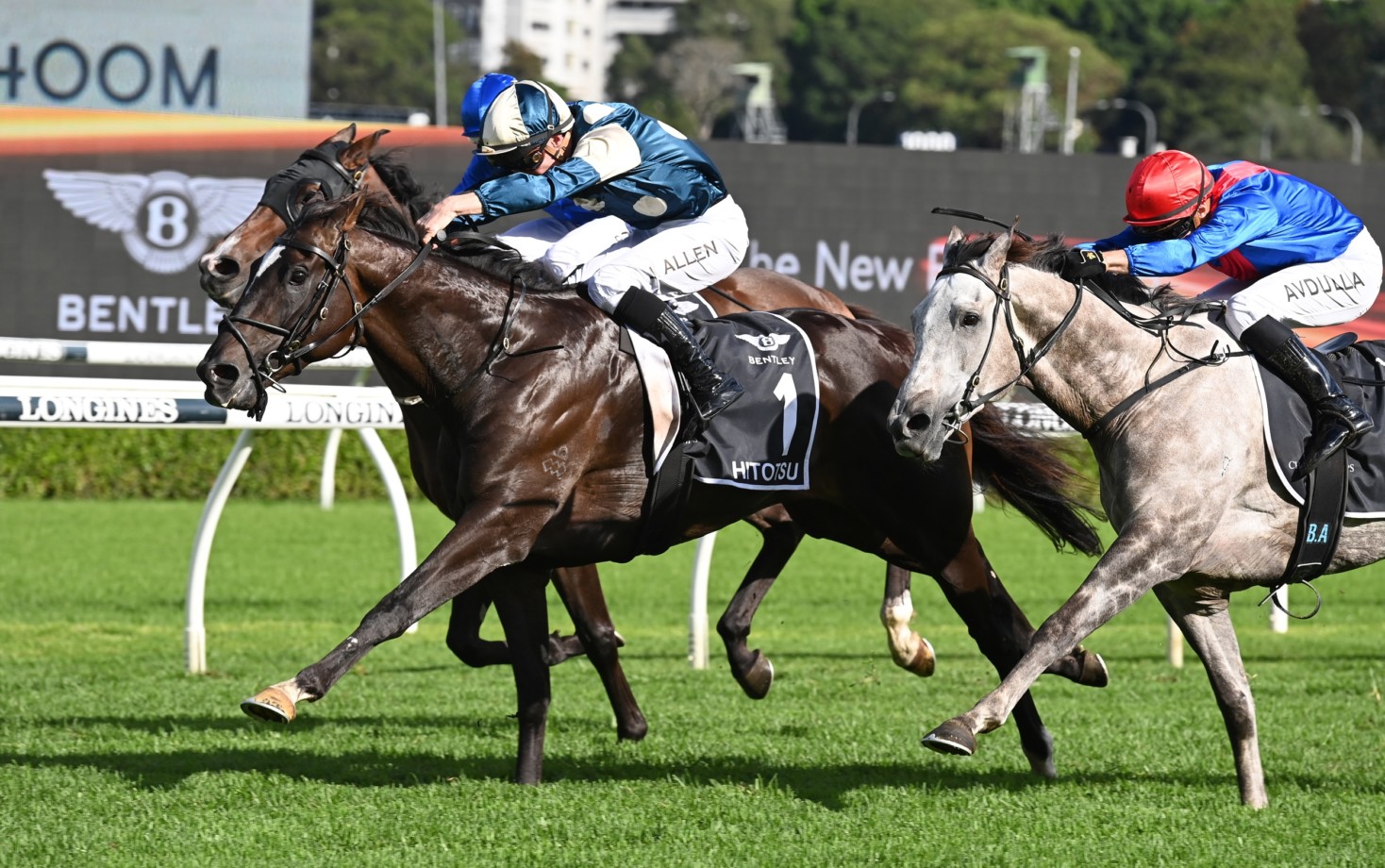 Australian Derby 2023 - Field, Tips, Horses, Odds, Results