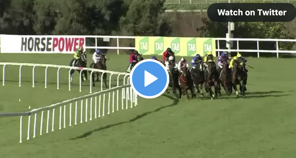 Watch 📺 Horse does everything possible to lose race | Just Horse Racing
