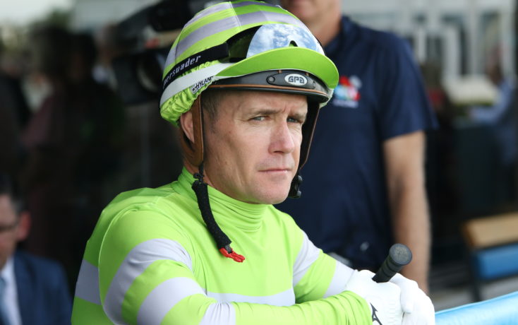 Mark Du Plessis makes steady steps in comeback | Just Horse Racing