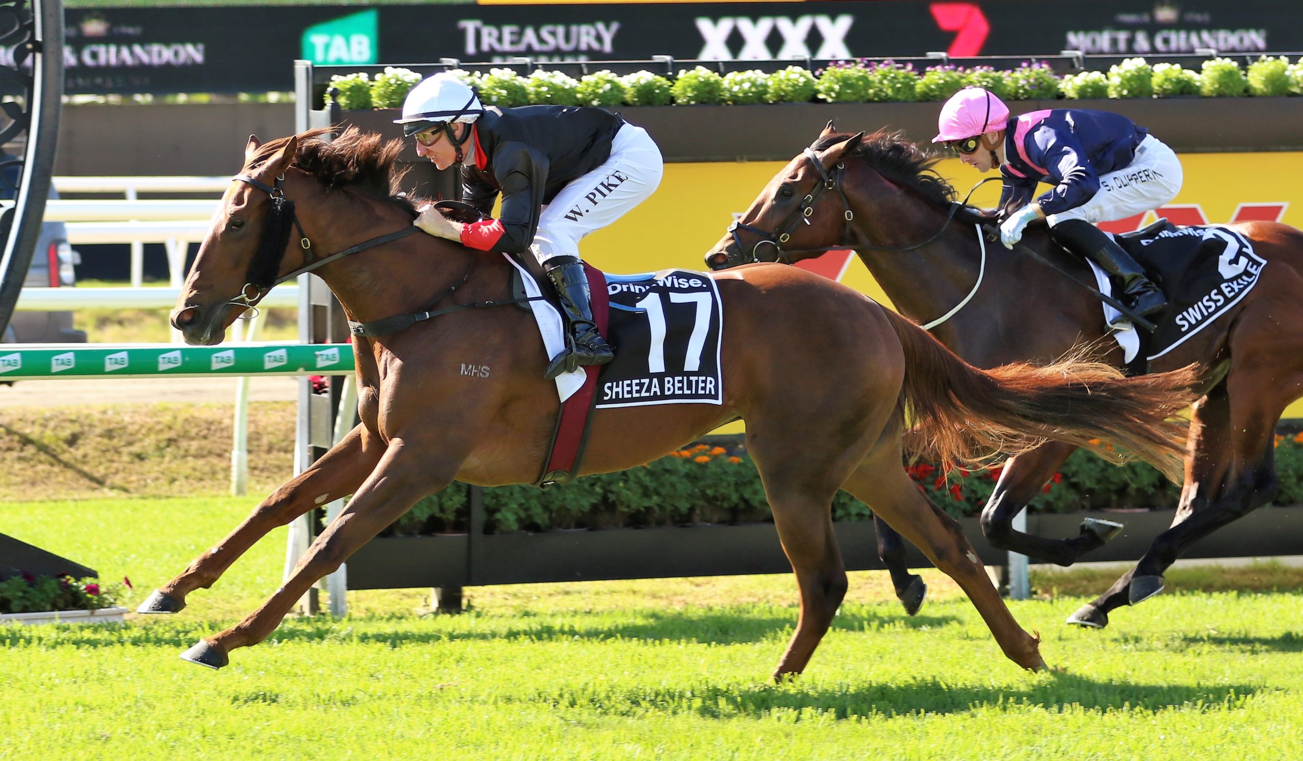 Sheeza Belter | Just Horse Racing