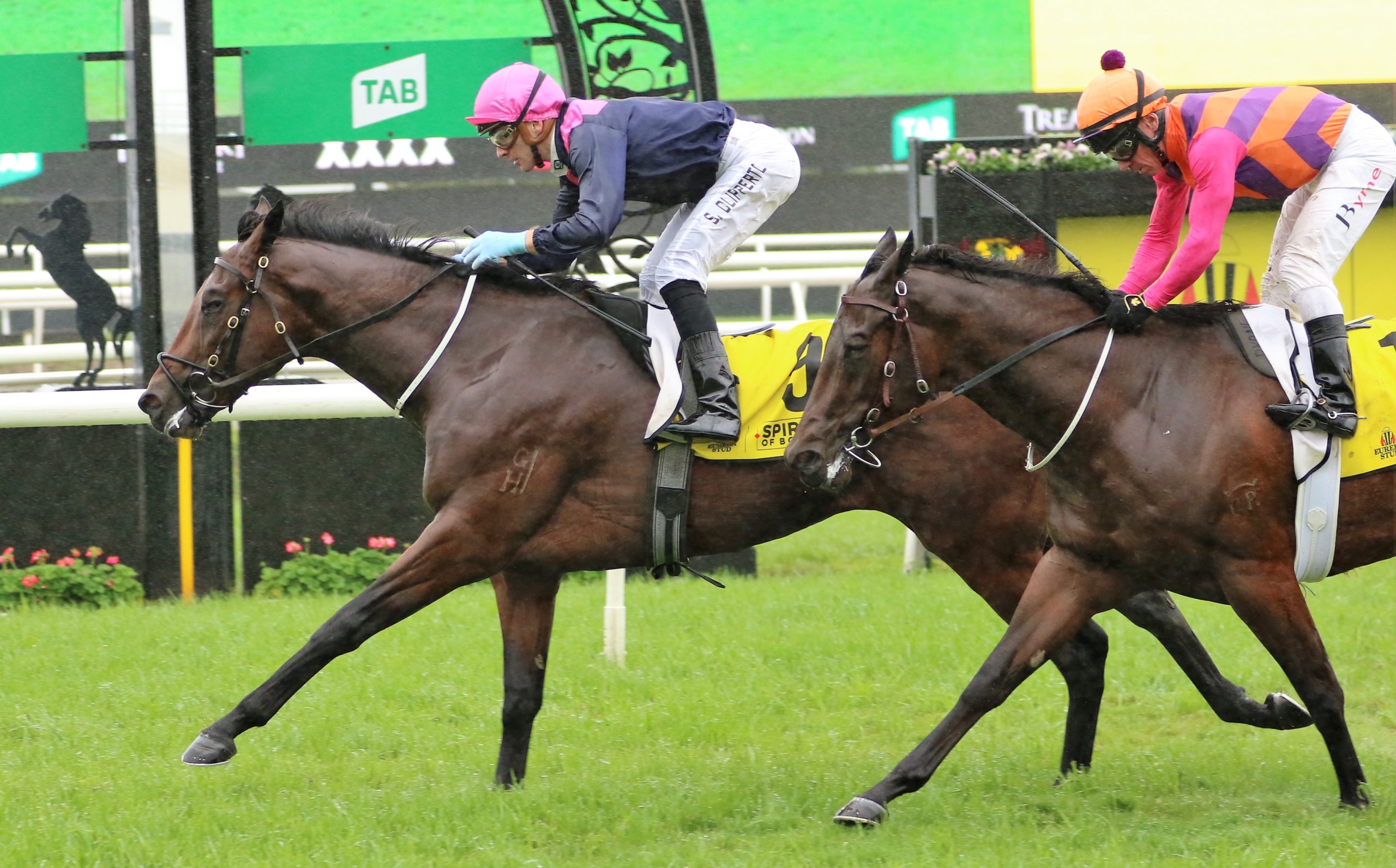 Darby Munro Stakes Field – 2023 | Just Horse Racing