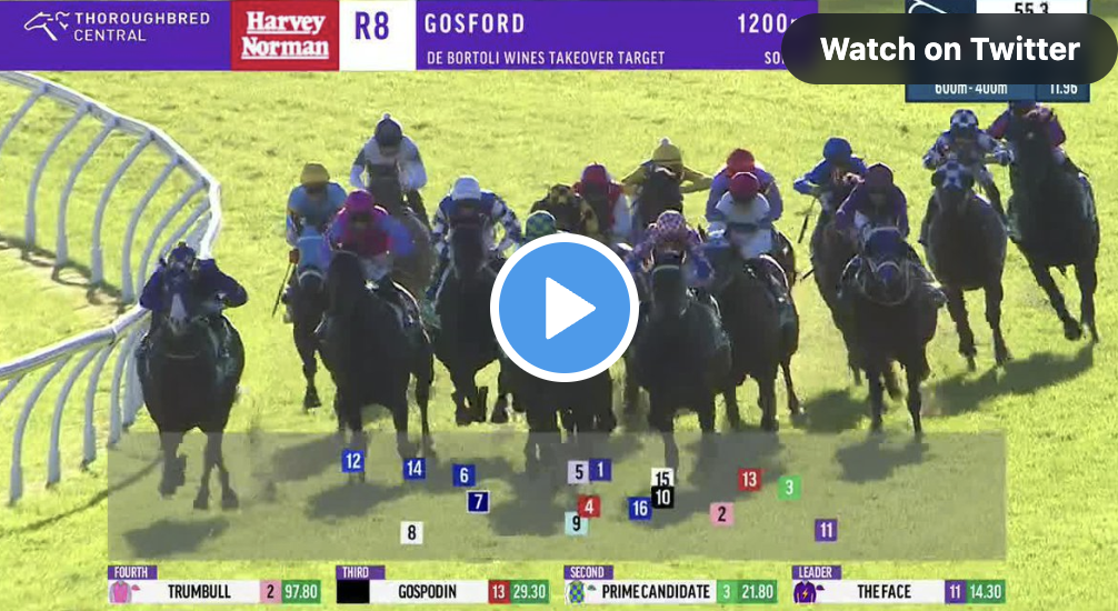 Takeover Target Stakes results and replay – 2022 | Just Horse Racing