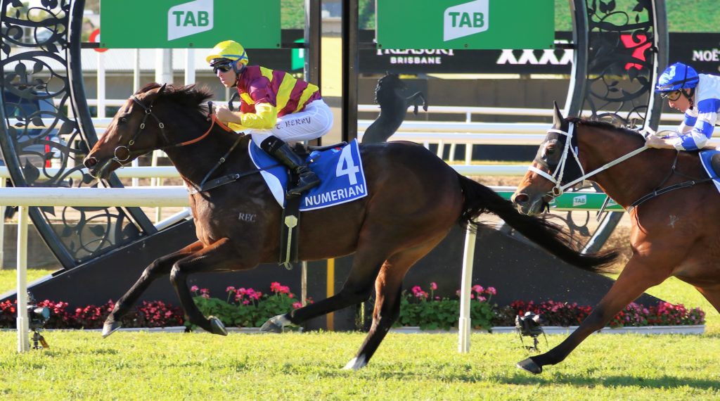 Perth Cup 2024: Bookie offering $10 Odds for Numerian or Zoumon to win ...