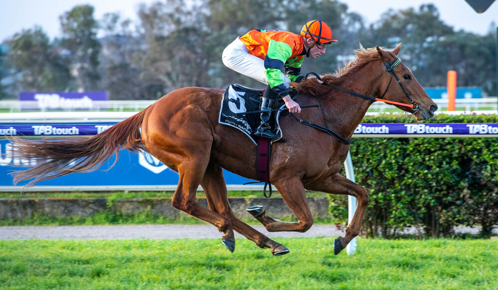 Vane Tempest eyeing carnival features | Just Horse Racing