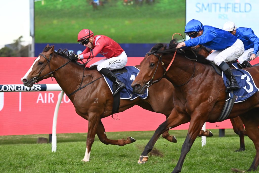 Stakeswinner Midway to redemption | Just Horse Racing