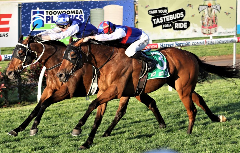 Toowoomba Cup 2023 Field, Tips, Betting Odds, Results